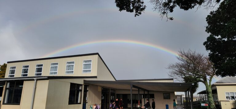 Home - Puketapu School