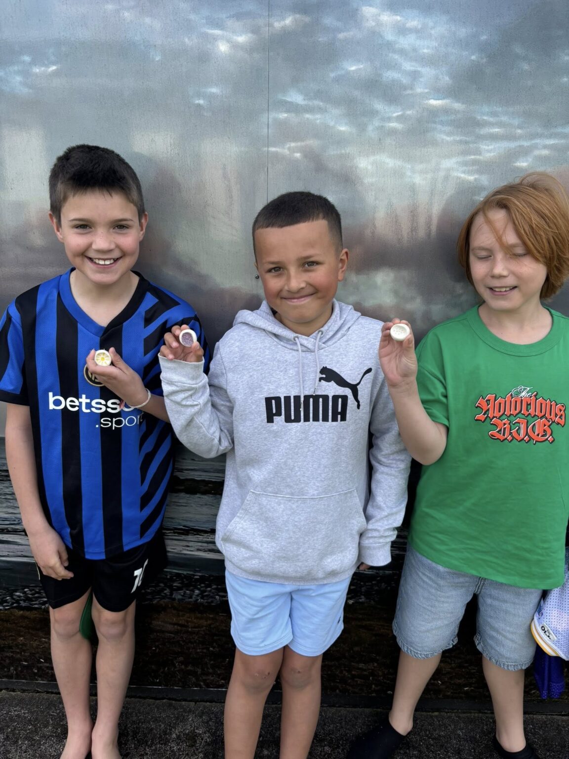 Home - Puketapu School
